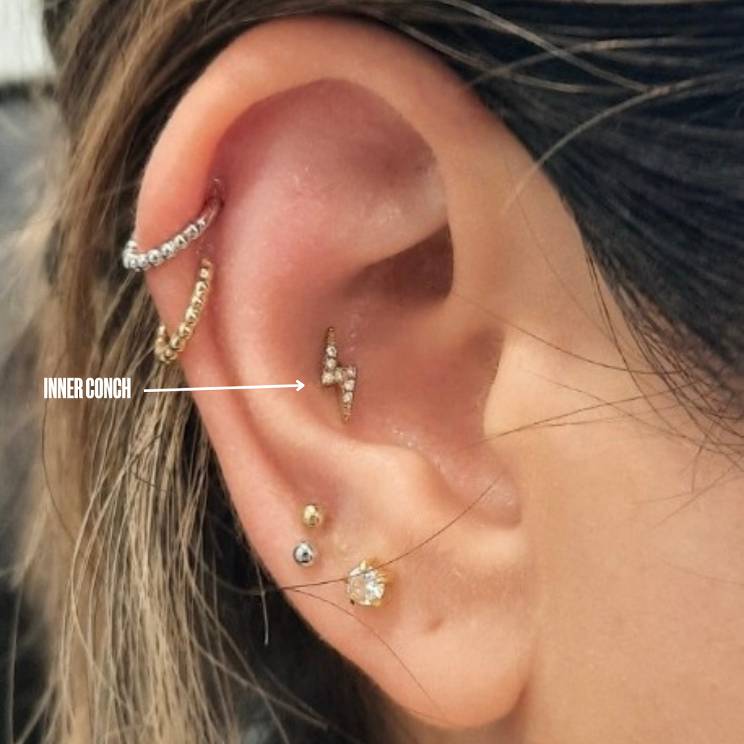 Conch Piercing Guide | Placement, Healing & Jewellery by Covetear ...